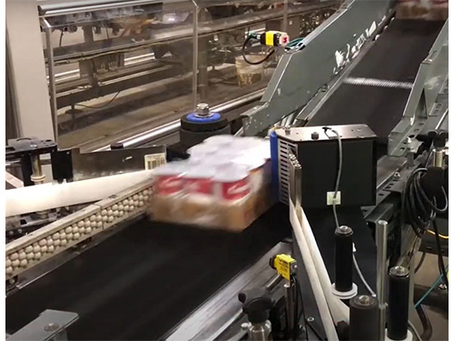 Labeling & Coding For Cases & Trays | Marking Solutions | ID Technology